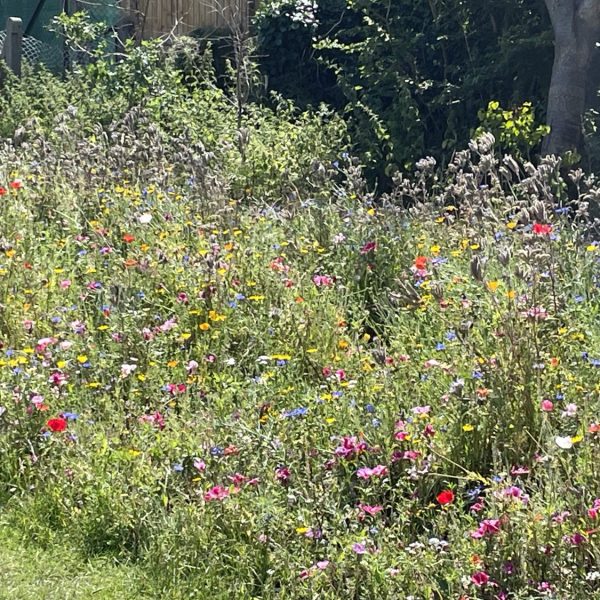 Platinum Jubilee Park - Formby Parish Council